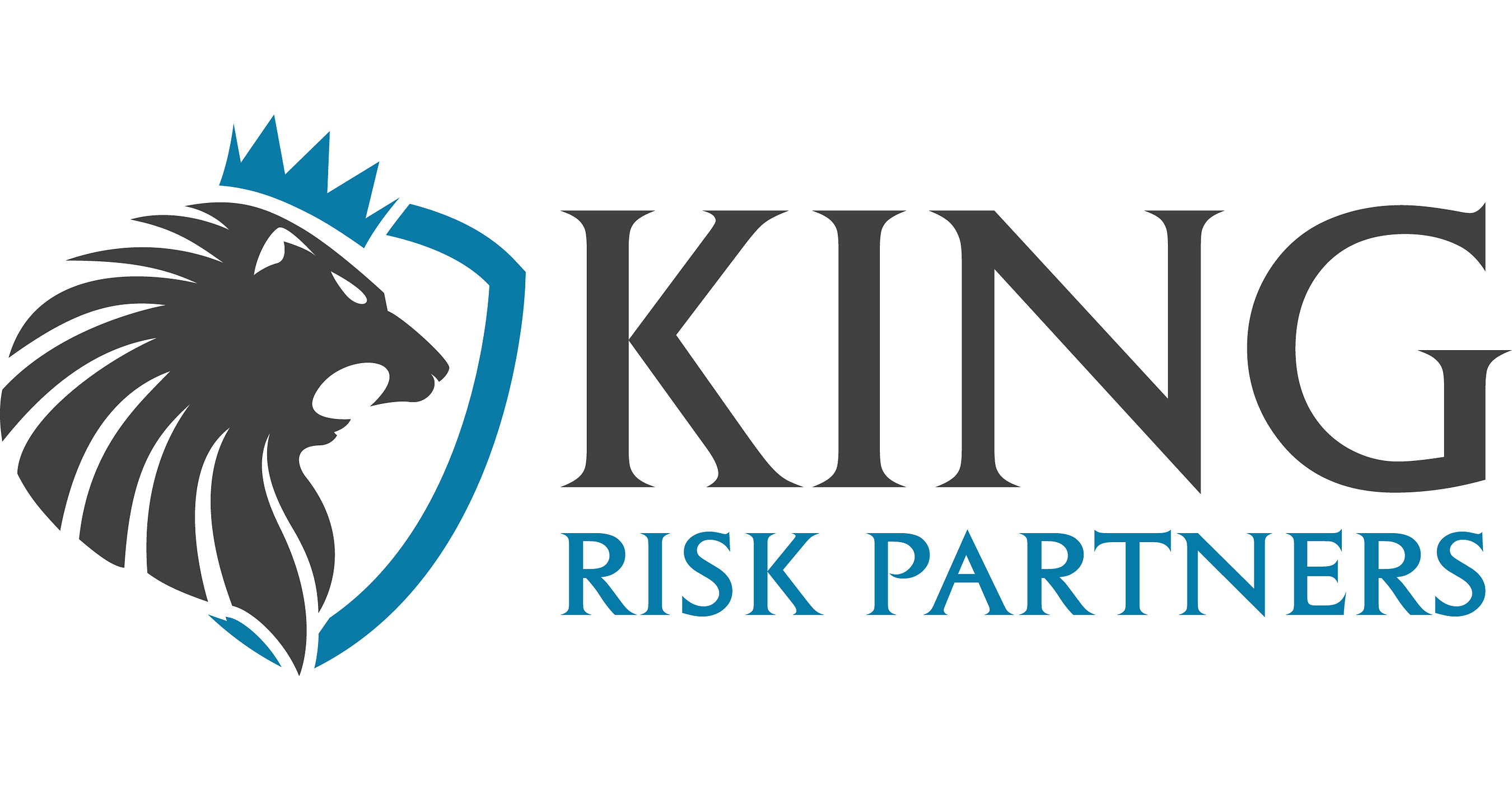 King Risk Partners Expands Specialty Capabilities with Launch of ...
