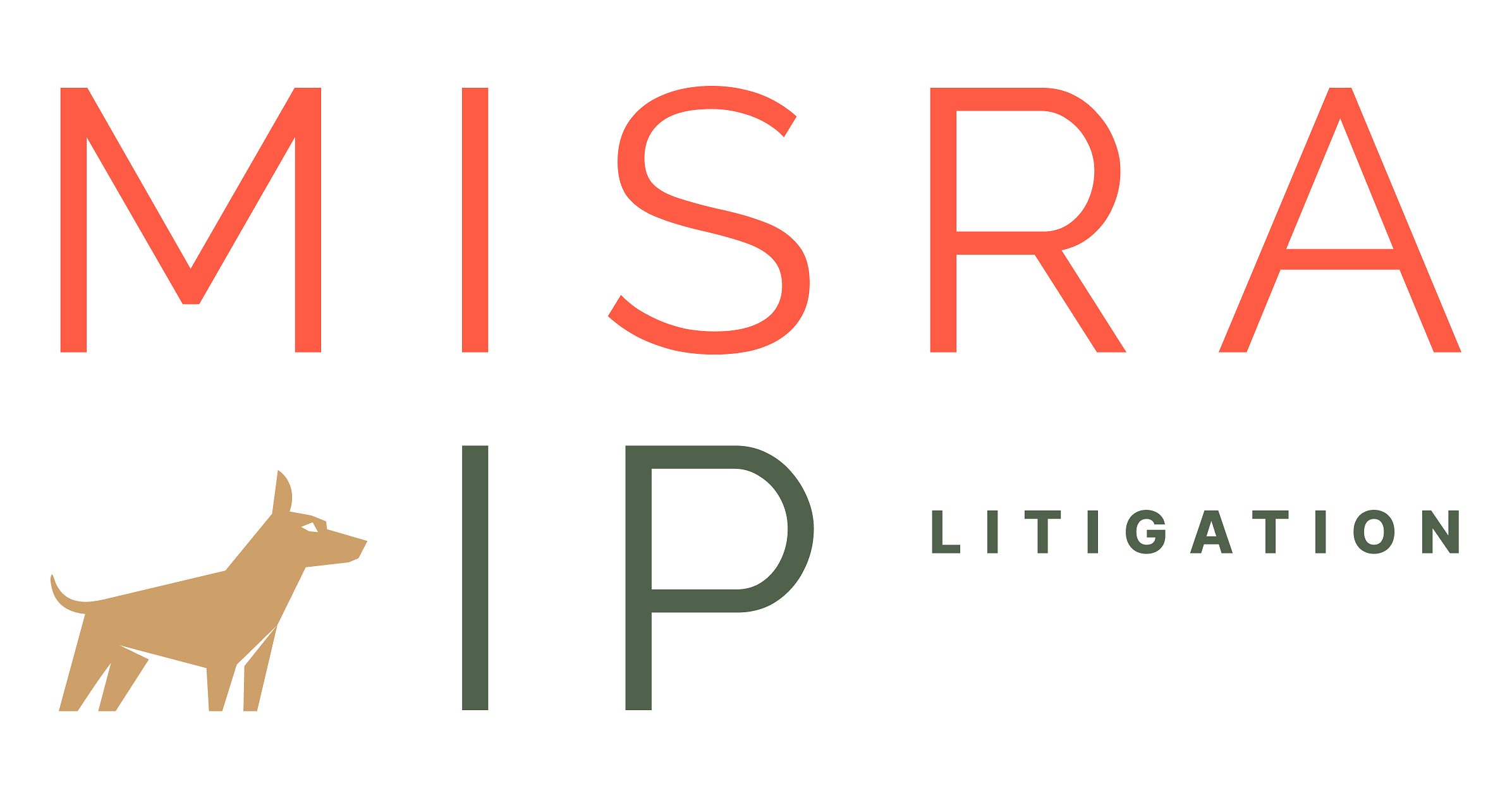 Misra IP Litigation Launches, Focused on Litigation Funding and ...