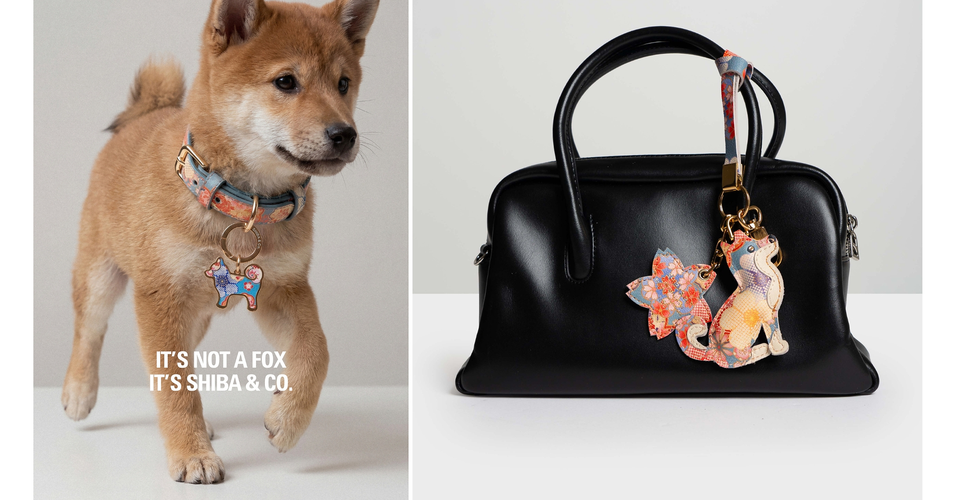 SHIBA & Co. Launches Sakura Limited Edition