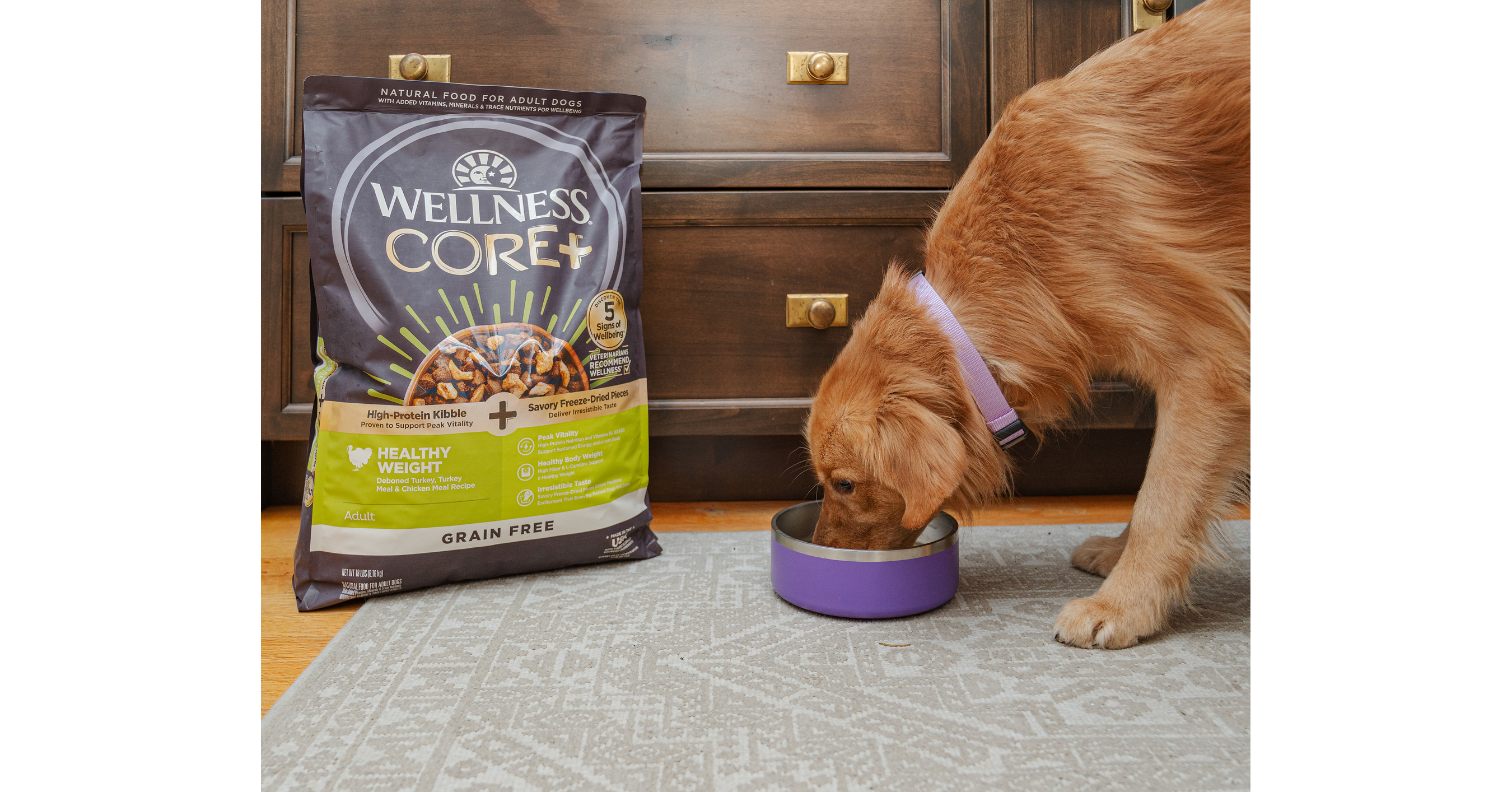 Research Finds More Than 80% of Dogs Lost Weight in 10 Weeks or Less ...