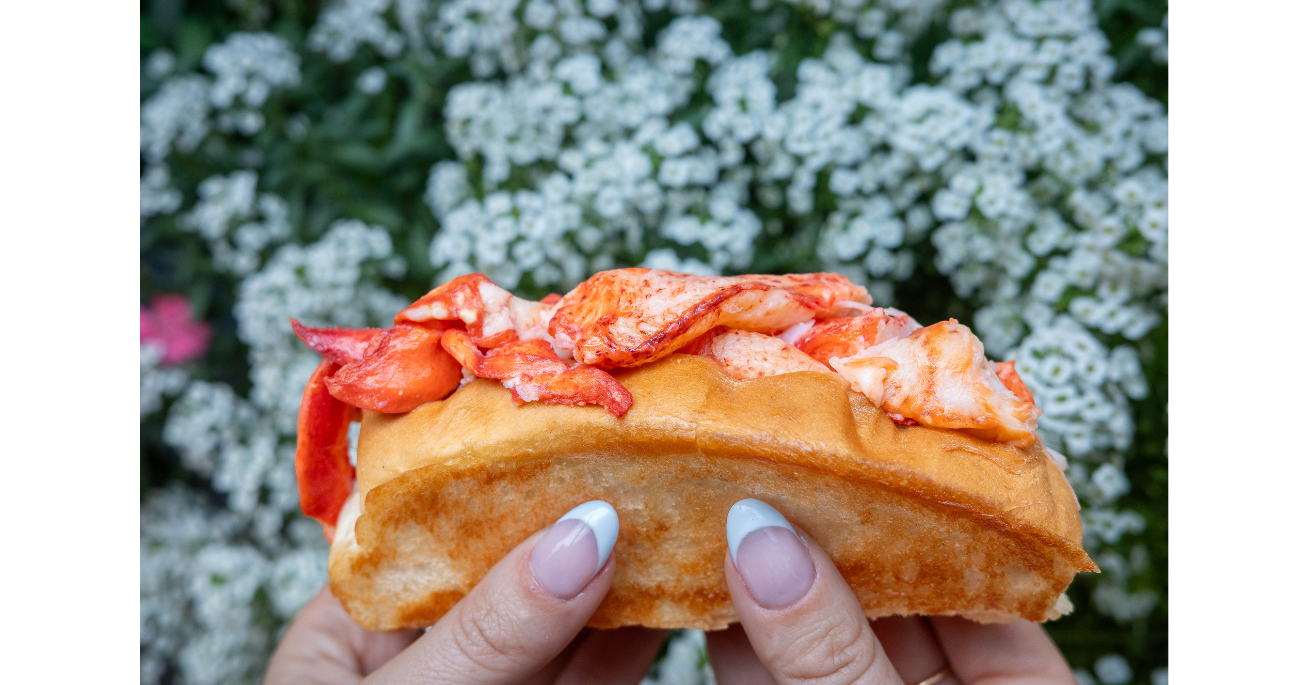 Cousins Maine Lobster Brings a Taste of Maine Back to South Texas with ...