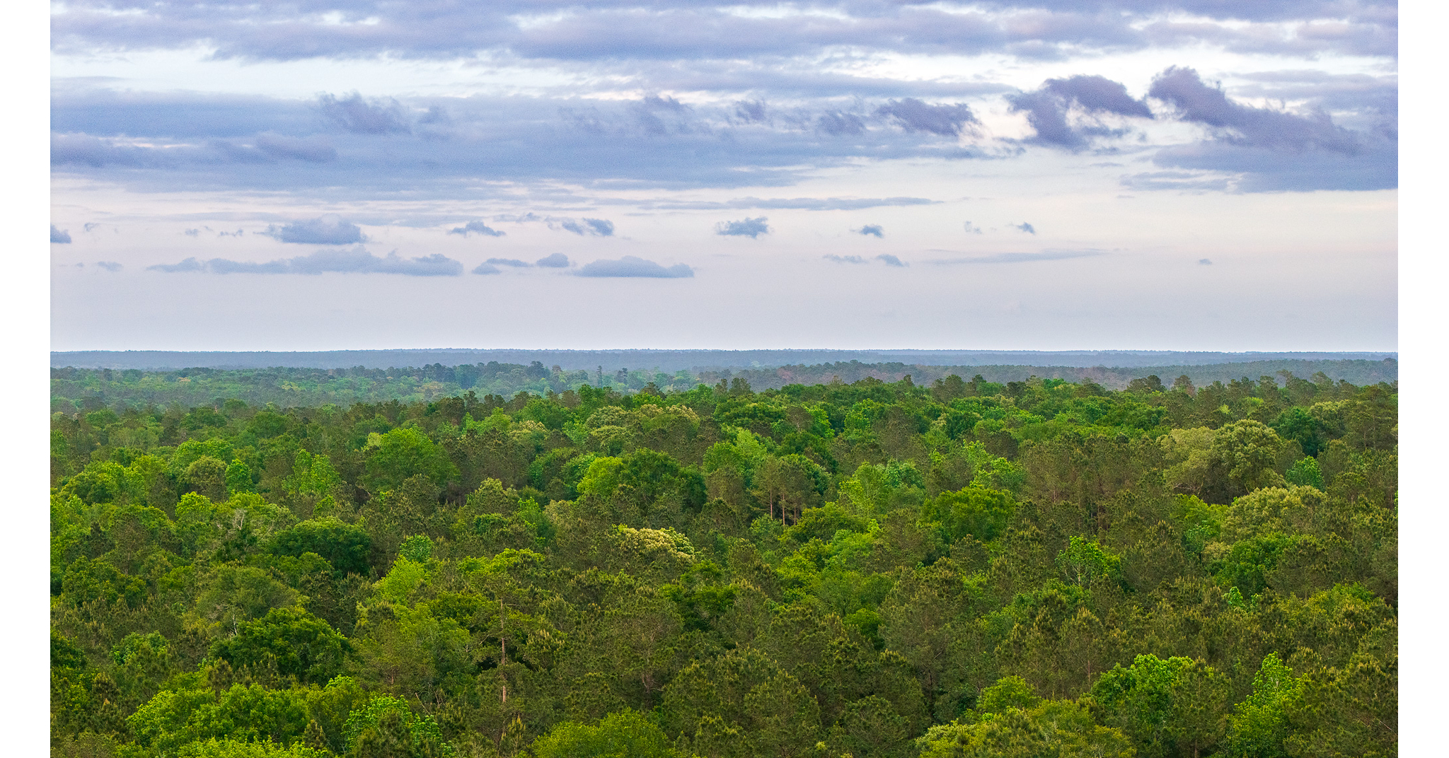 Patten Properties Debuts Legacy Grand Ranch North of Houston, Land ...