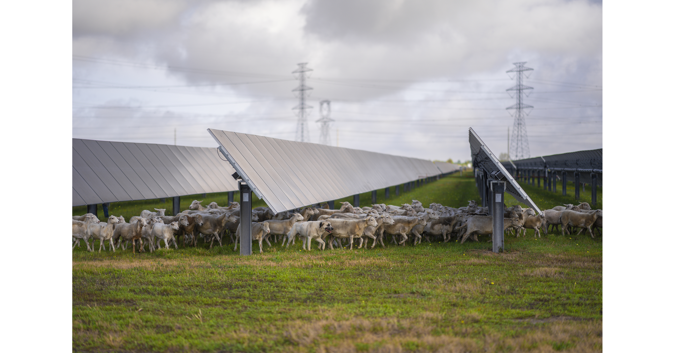 Mars Accelerates Sustainability Progress with All U.S. Operations now ...