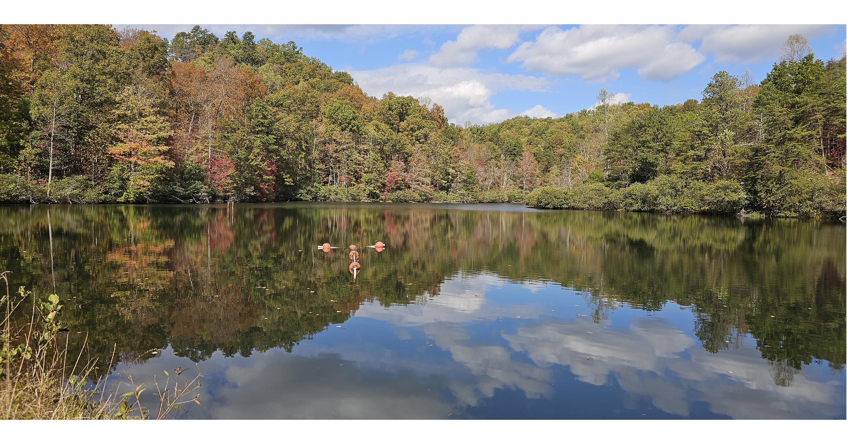 The Lazenby Preserve, A New Kind of Retreat, Takes Shape Near Red River ...