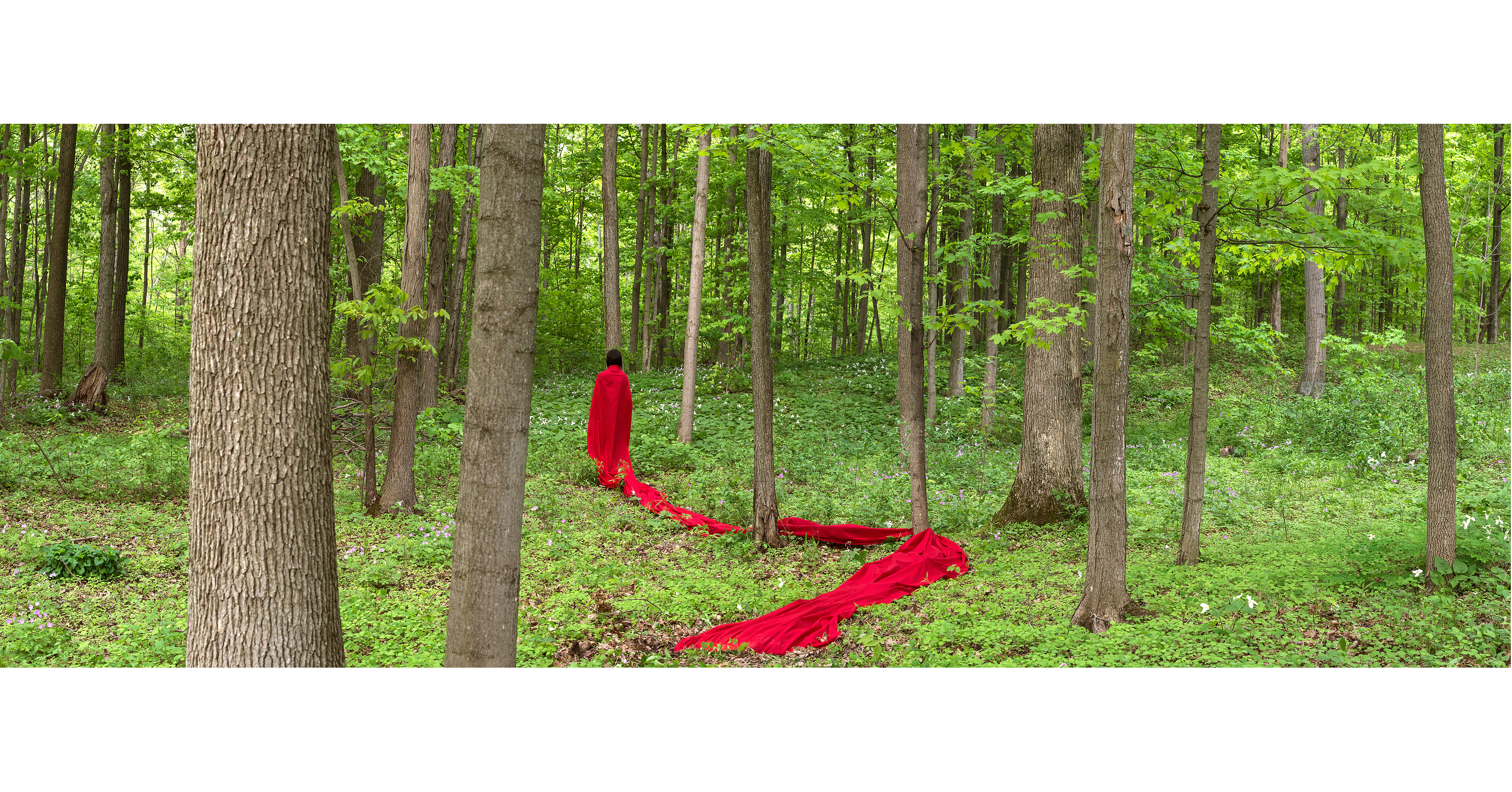 OCAD University represents Canada at Gwangju Biennale 2026, one of the ...