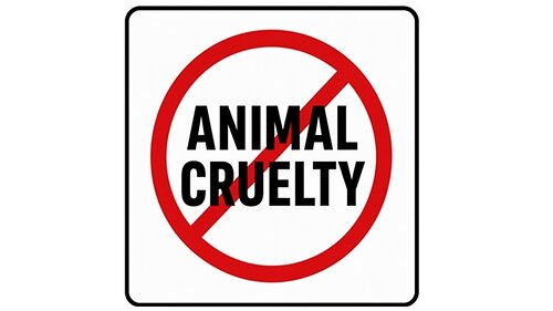 The National Police Association Endorses the LEASH Act of 2026