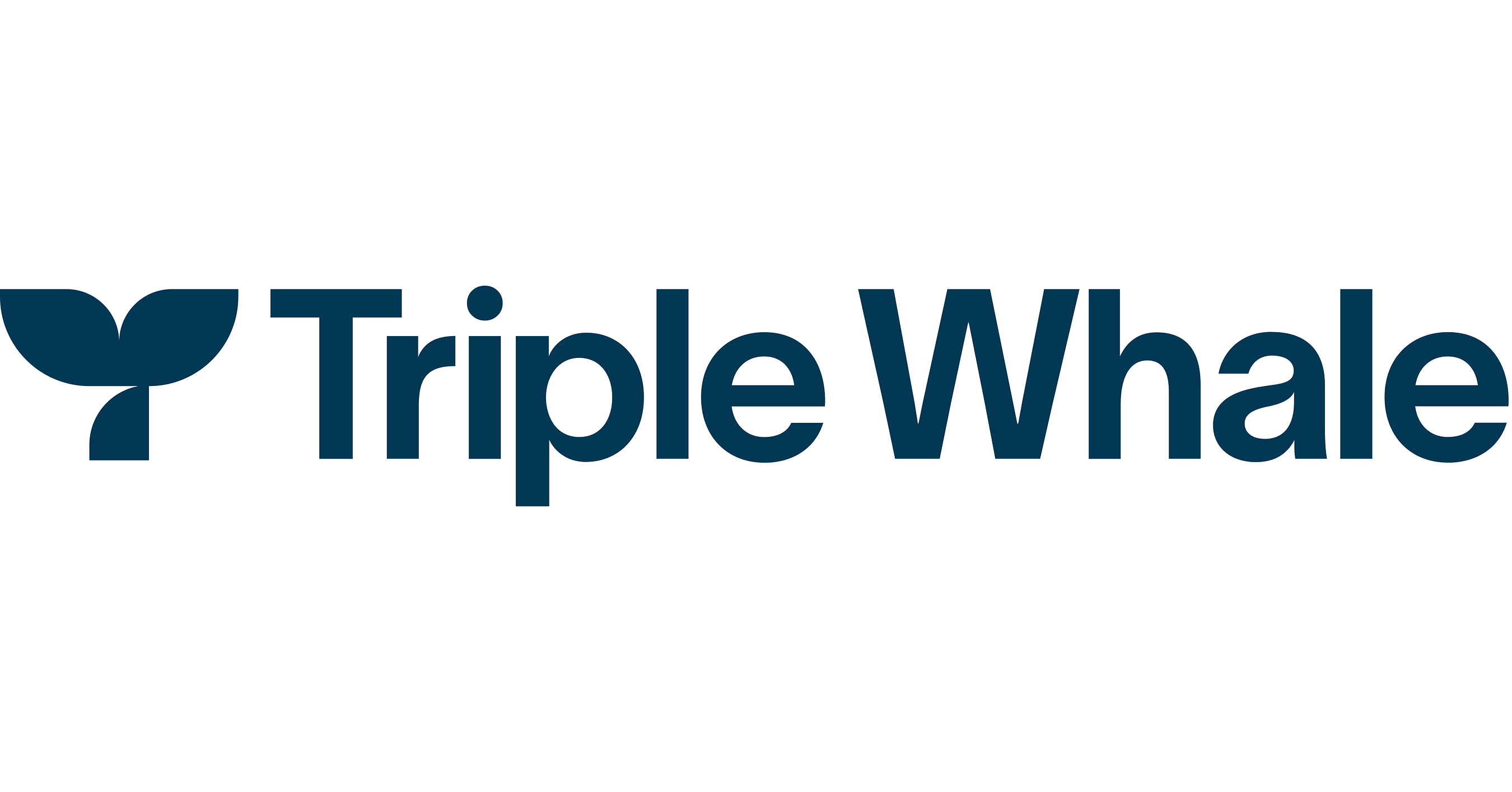 Triple Whale Unveils New Brand Identity for Its Next Era As The AI ...